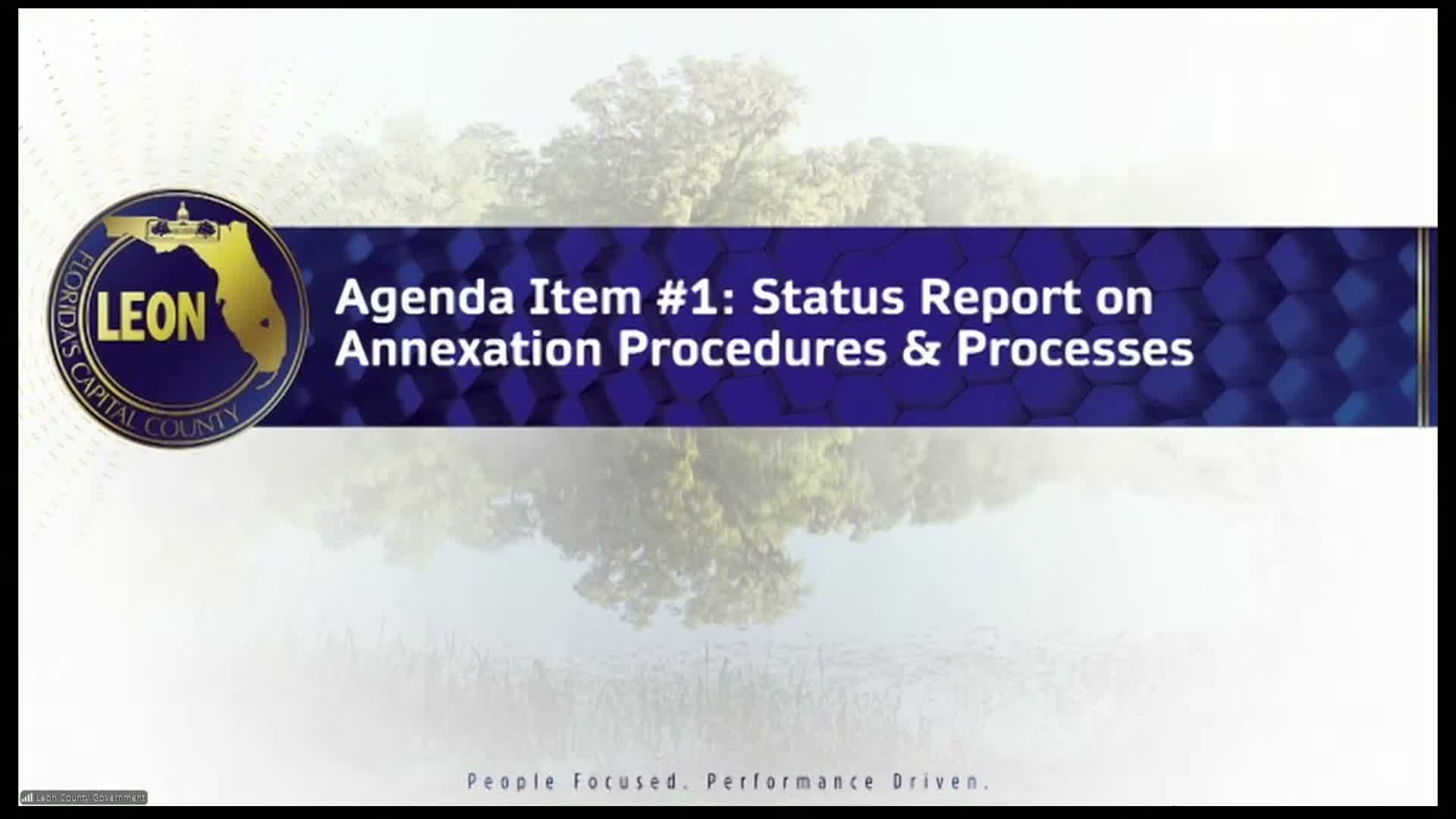 CitizenPortal.ai - Charter committee accepts annexation status report ...
