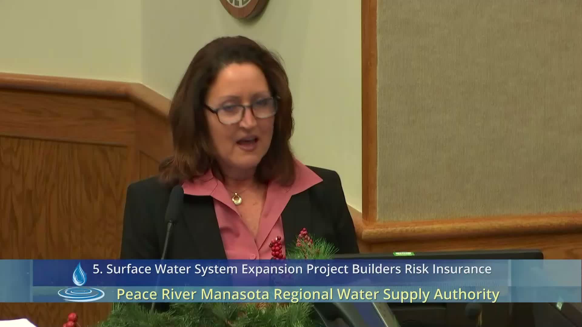 CitizenPortal.ai - Authority approves owner‑placed builders risk ...