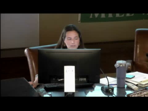 CitizenPortal.ai - Commissioners push applicant to rethink third-floor ...