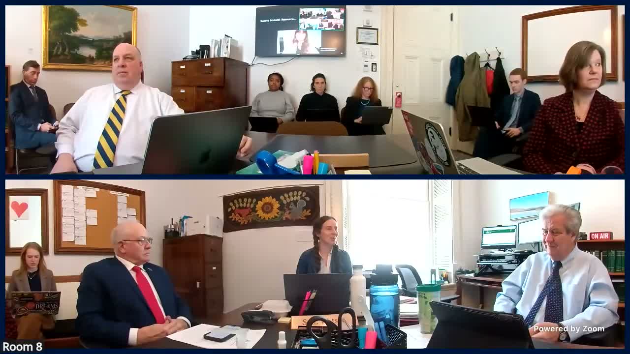 CitizenPortal.ai - Committee hears S.202 to allow plug‑in ‘balcony ...