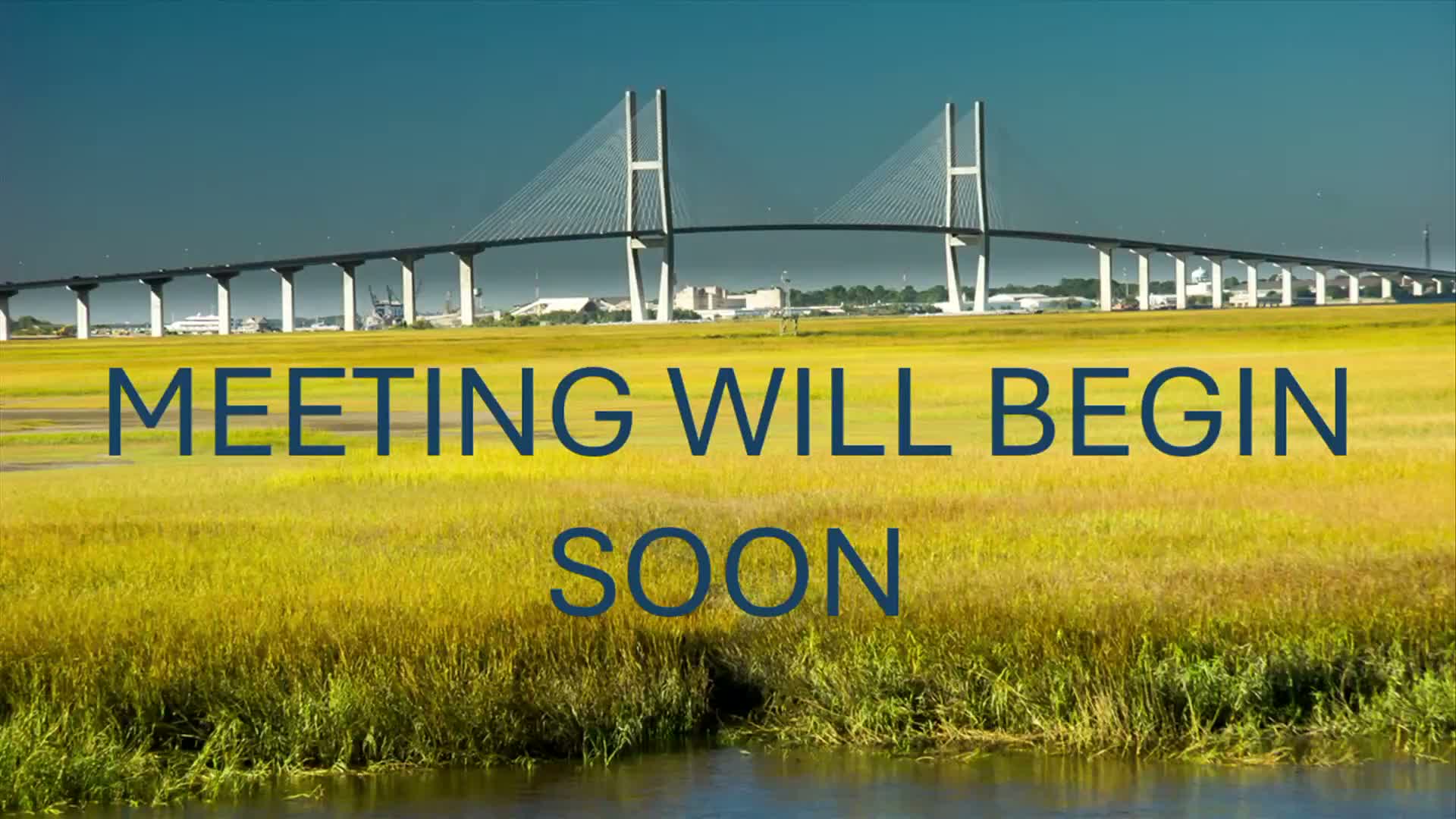 CitizenPortal.ai - Glynn County holds third town hall on zoning rewrite ...