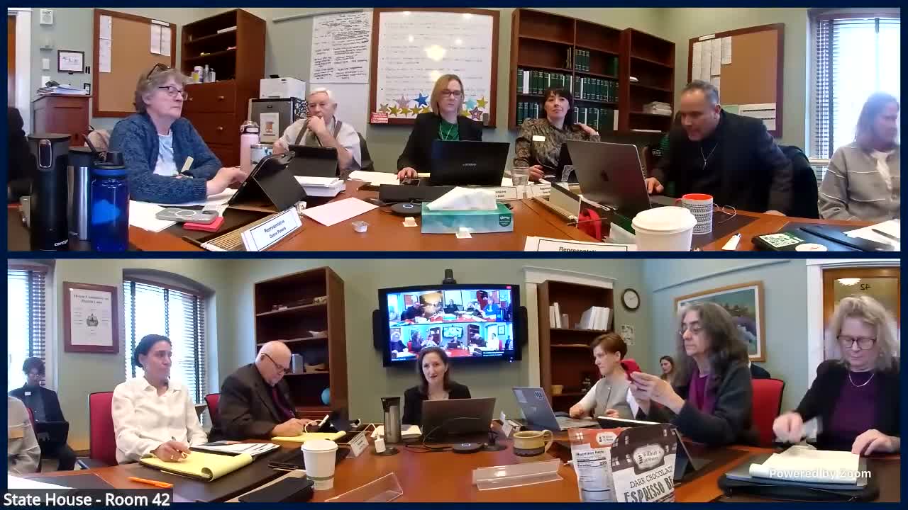 CitizenPortal.ai - Staff outlines Act 167 deliverables and a multi‑year ...