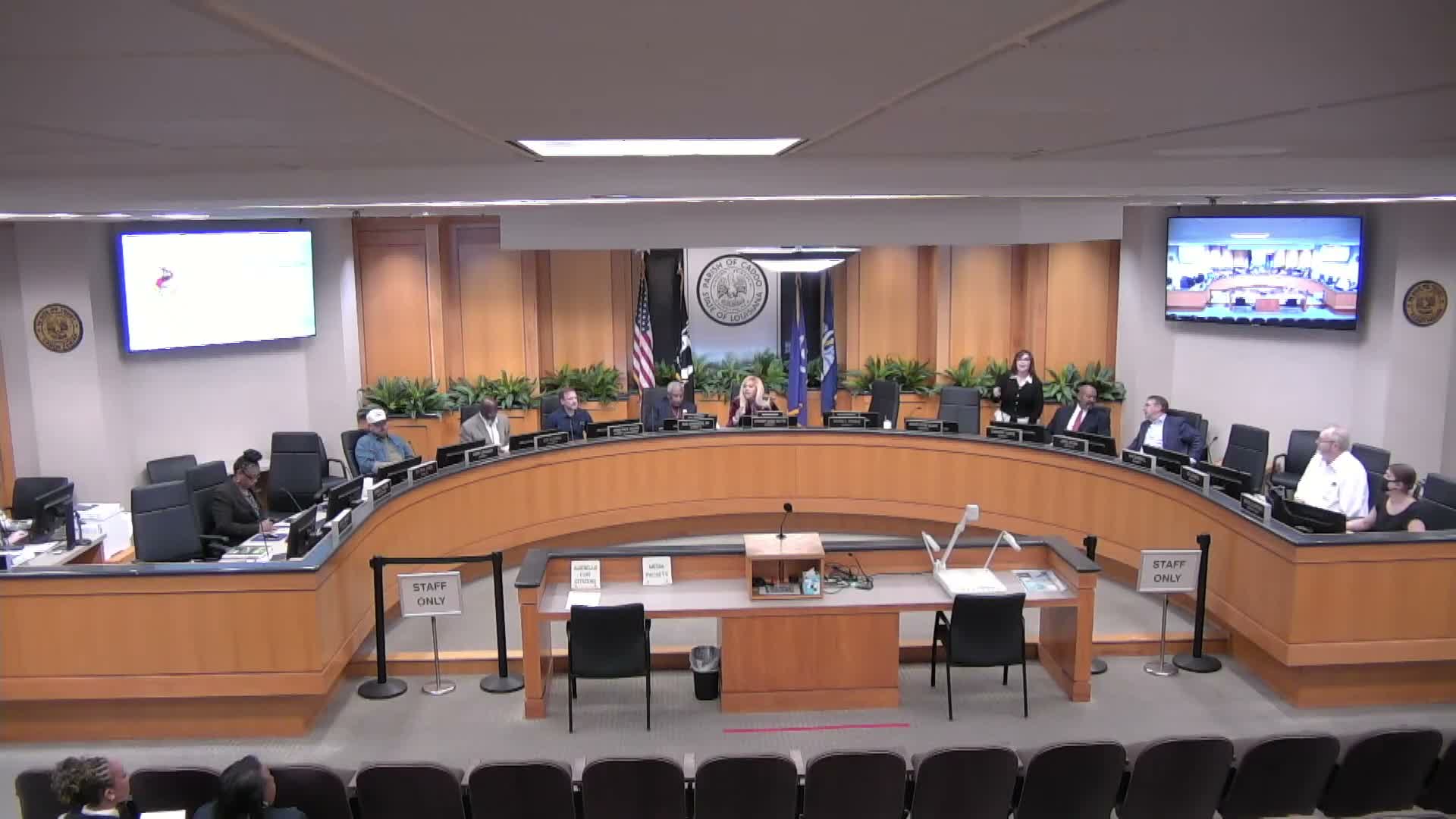 CitizenPortal.ai - Audit of drafts and revision summary