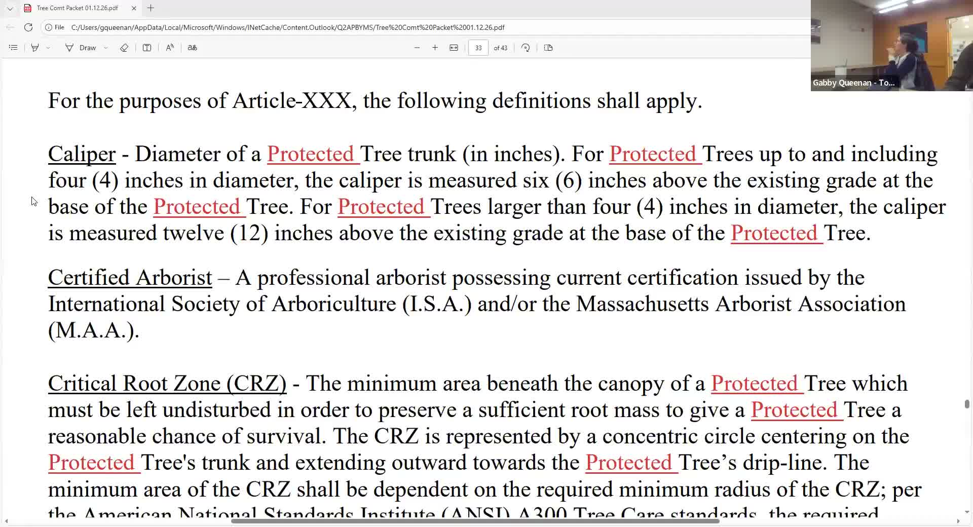 CitizenPortal.ai - Needham committee refines definitions for critical ...