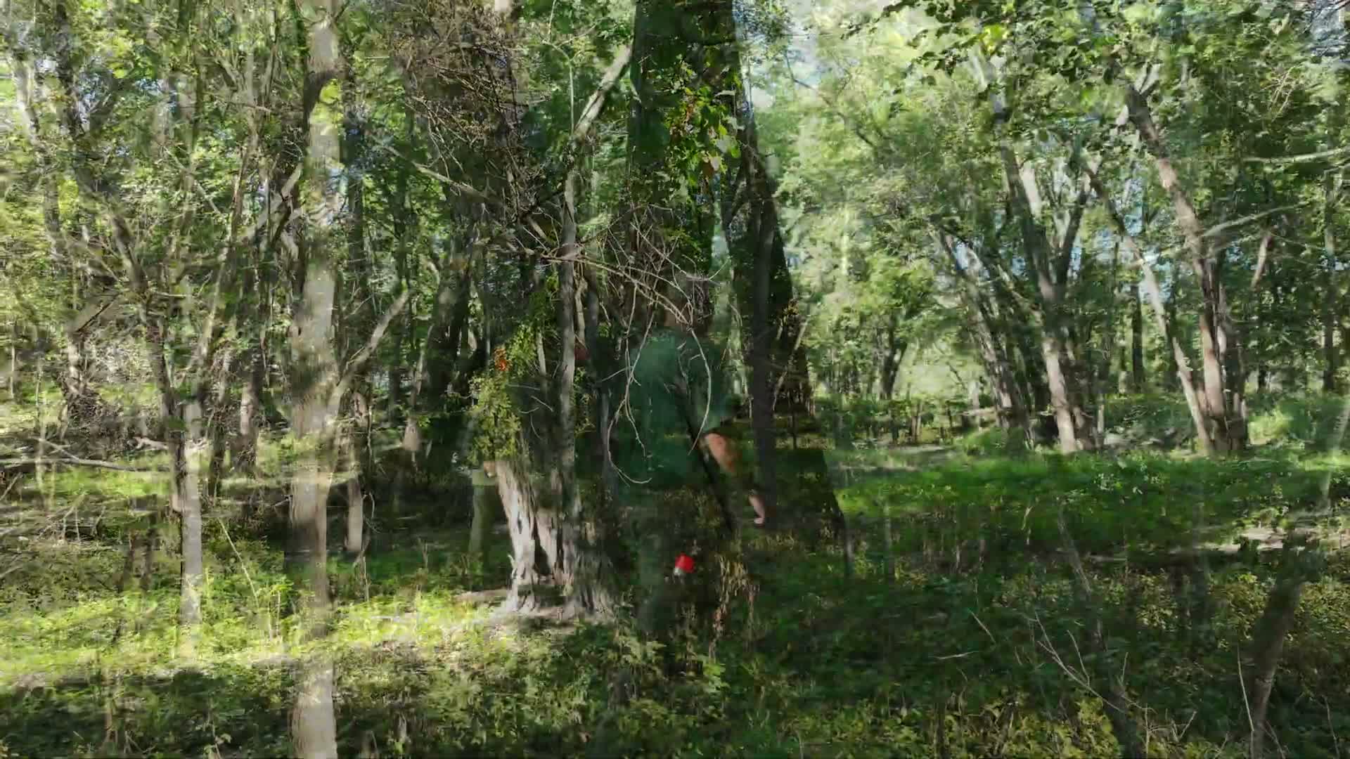 CitizenPortal.ai - Unidentified presenter outlines forest management ...