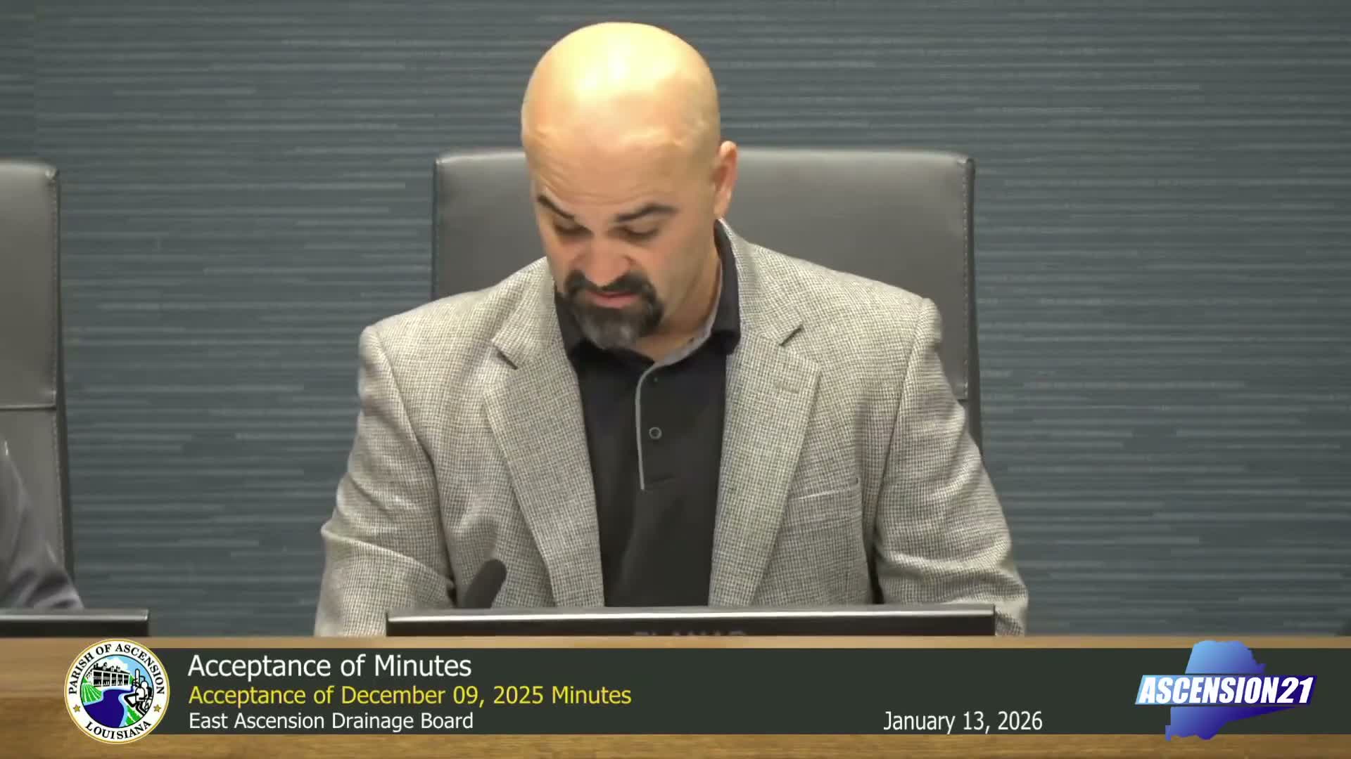 CitizenPortal.ai - Audit of draft article and transcript issues (internal)