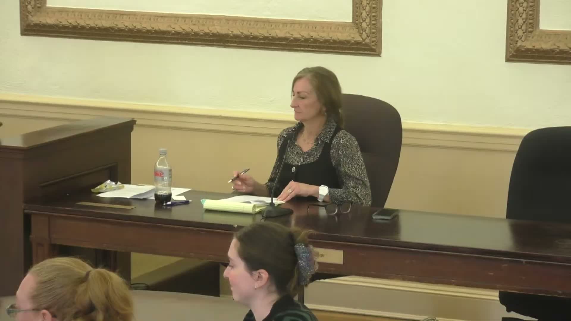 CitizenPortal.ai - Resilience Authority-led Spa Road brownfield effort ...