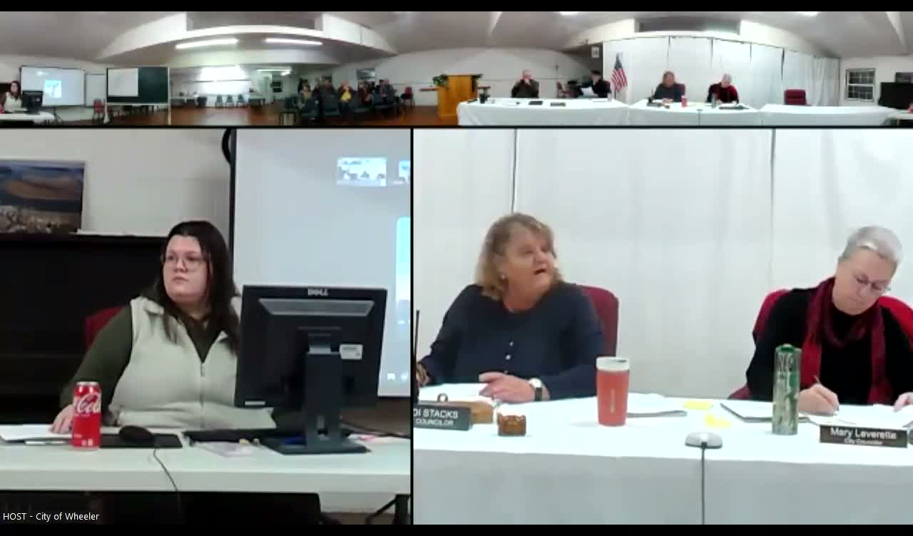 CitizenPortal.ai - Wheeler council agrees to workshop on urban renewal ...