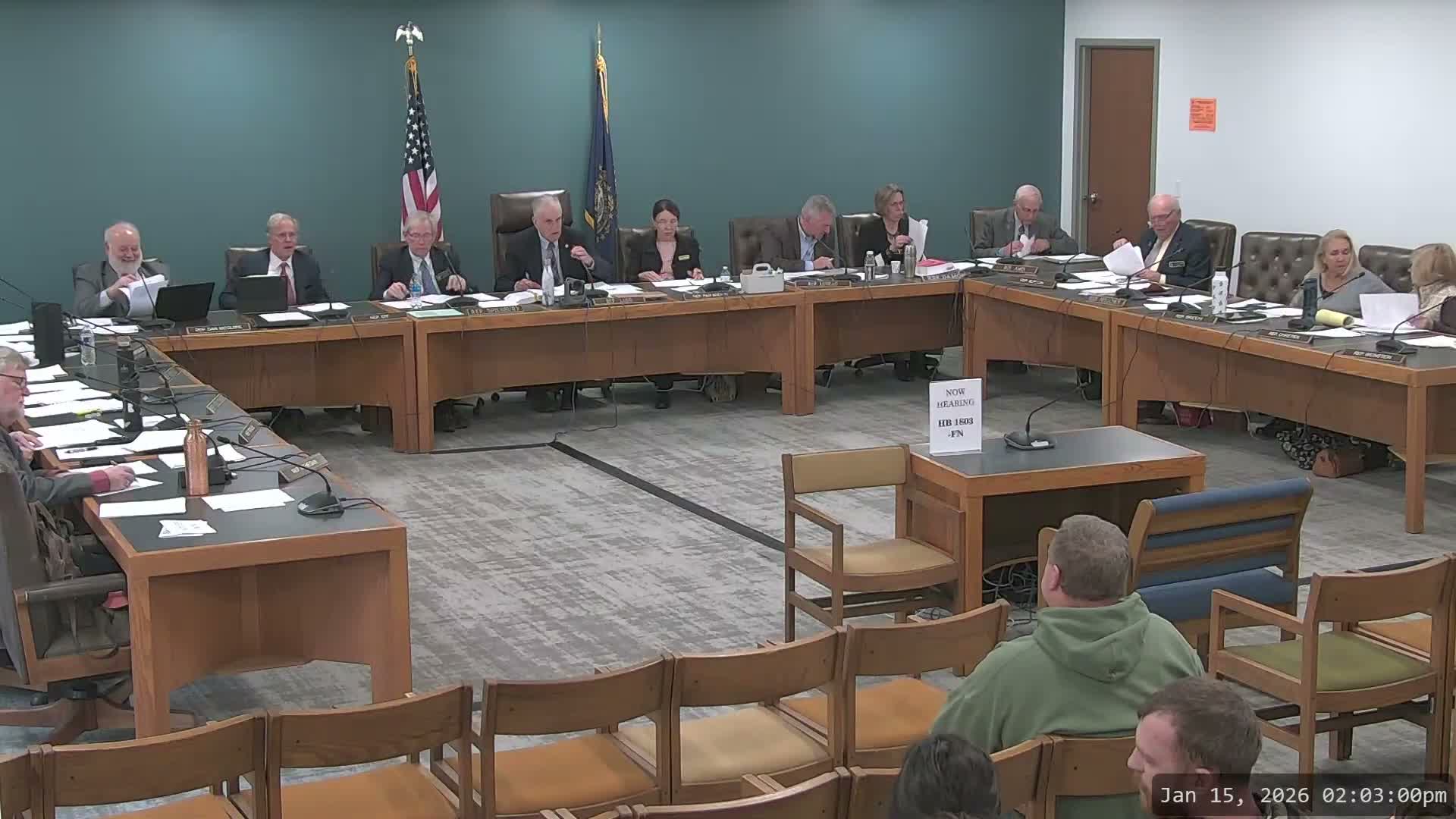 CitizenPortal.ai - Committee hears heated testimony on curbing ...