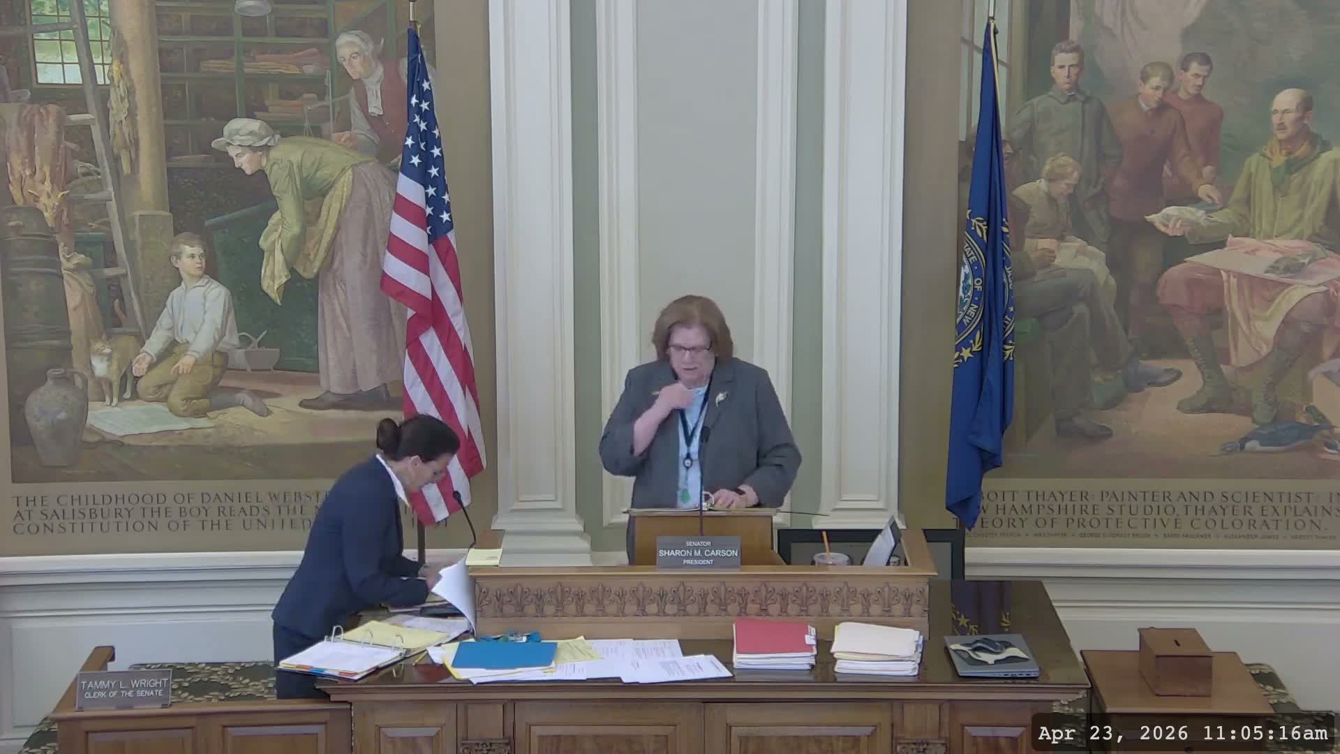 Senate votes ITL on natural-organic-reduction bill after emotional ...